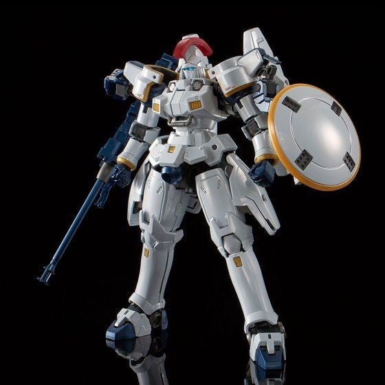 P-Bandai RG Tallgeese EW Titanium finish – Omocha Japan